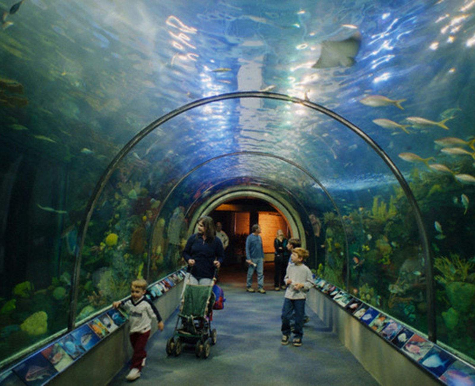 Audubon Nature Institute Aquarium & Insectarium